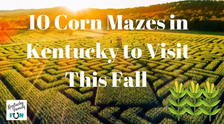 10 Corn Mazes in Kentucky To Visit This Fall - Kentucky Family Fun